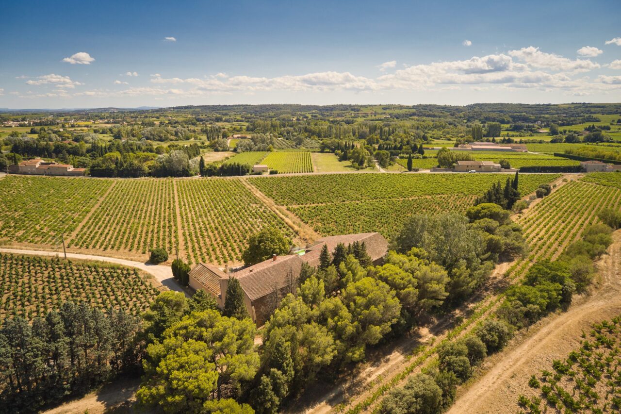 Domaine de Panisse uit Côtes-du-Rhône (Châteauneuf-du-Pape)